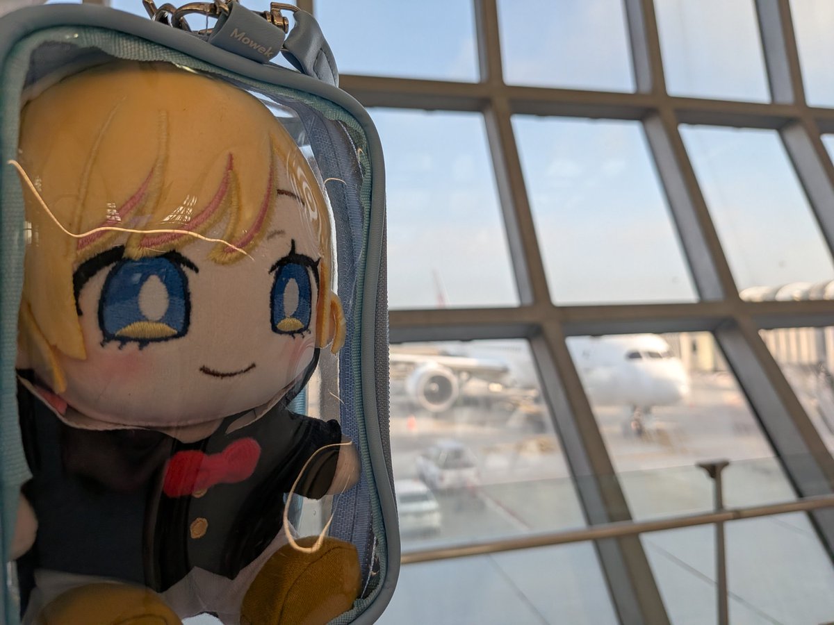 Hanonちゃん…飛行機だよ… https://t.co/BiaXJ0Wl5k