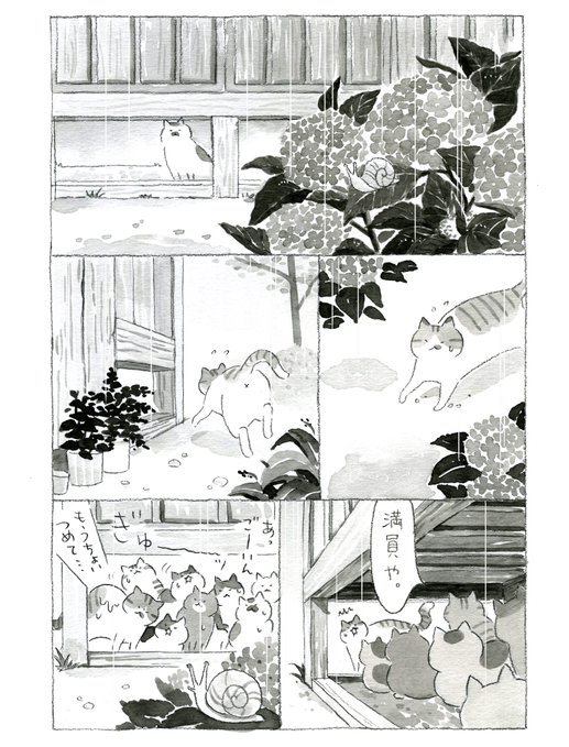 降ってきた | ねこまき倉庫 さんのマンガ | ツイコミ(仮)