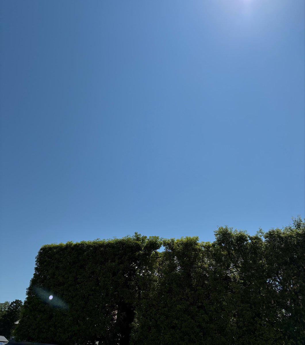 おはようございます。 天気予報を見ると太陽が見れるのは明日くらいまでと仙台はなっていますね。 今日は気温も上がる予報なので熱中症にご注意してお ...
