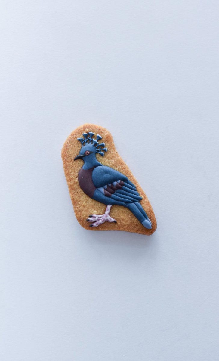 オウギバトのクッキー🍪
