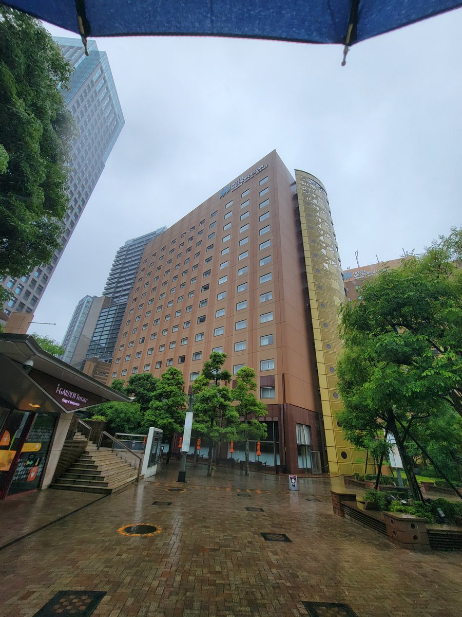 おはようございます 今朝の東京都千代田区飯田橋は雨☔ 関東は梅雨入りしました しとしと雨が続きそうですが、雨の時期の楽しみ方を見つけていきたい ...
