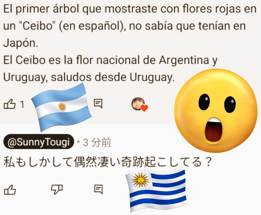 Parece que la flor roja que grabé por casualidad era el Ceibo, la flor ...