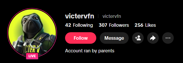DIG VicterV (@VicterV_) / Posts / X