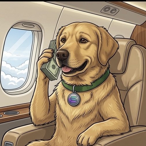 The most loyal dog on Solana is officially IN THE BUILDING! 1 Meet ...