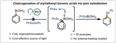 Visible light-induced ipso-chalcogenation of aryl/alkenyl boronic acids ...