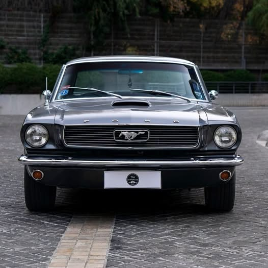 1966 Ford Mustang hardtop🇺🇸 Do you think it performs better than modern ...