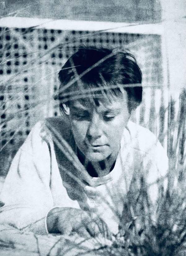 A portrait of American author Harper Lee, was taken in 1960 by her ...