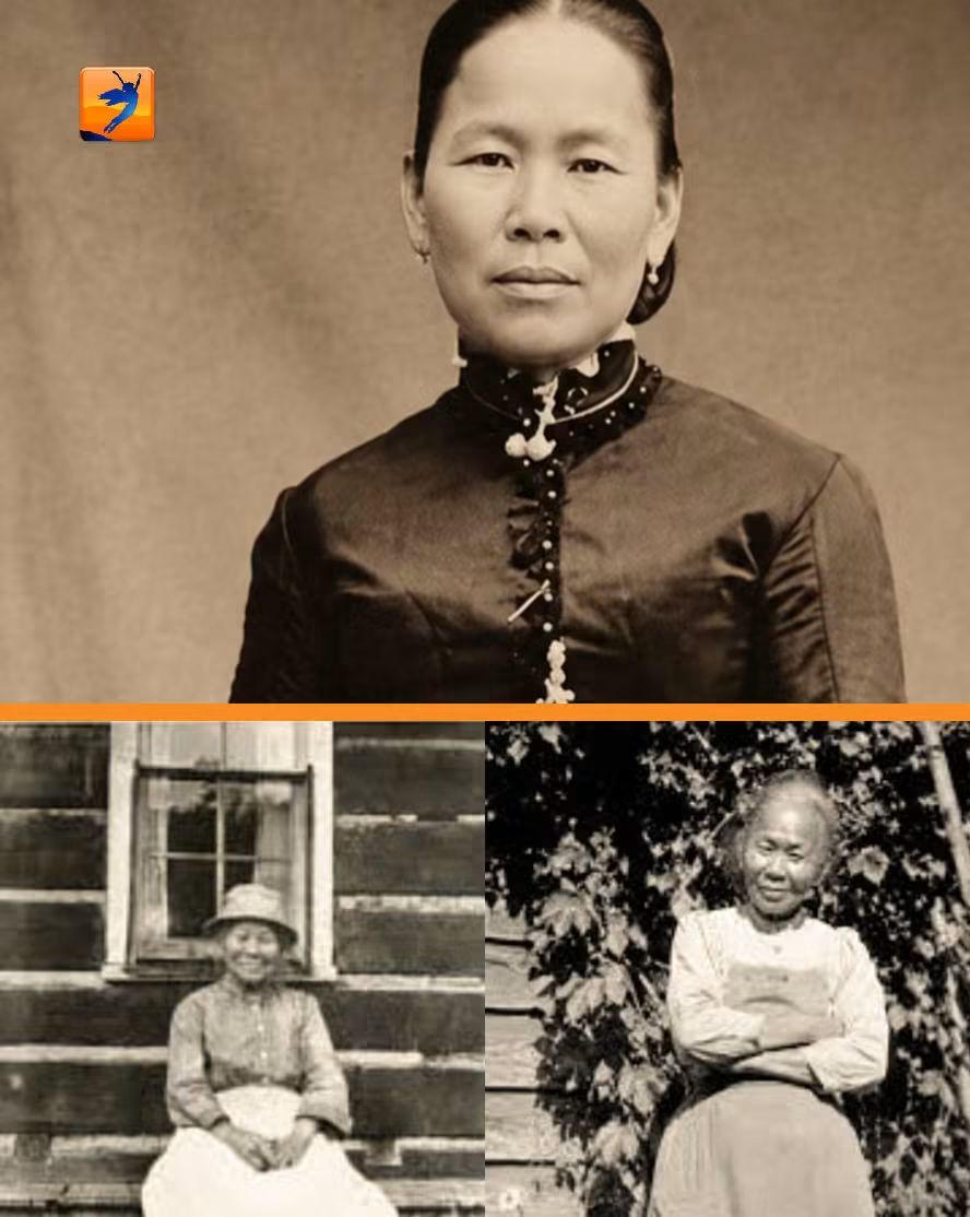 In 1872, an eighteen-year-old girl arrived in a remote gold mining camp ...