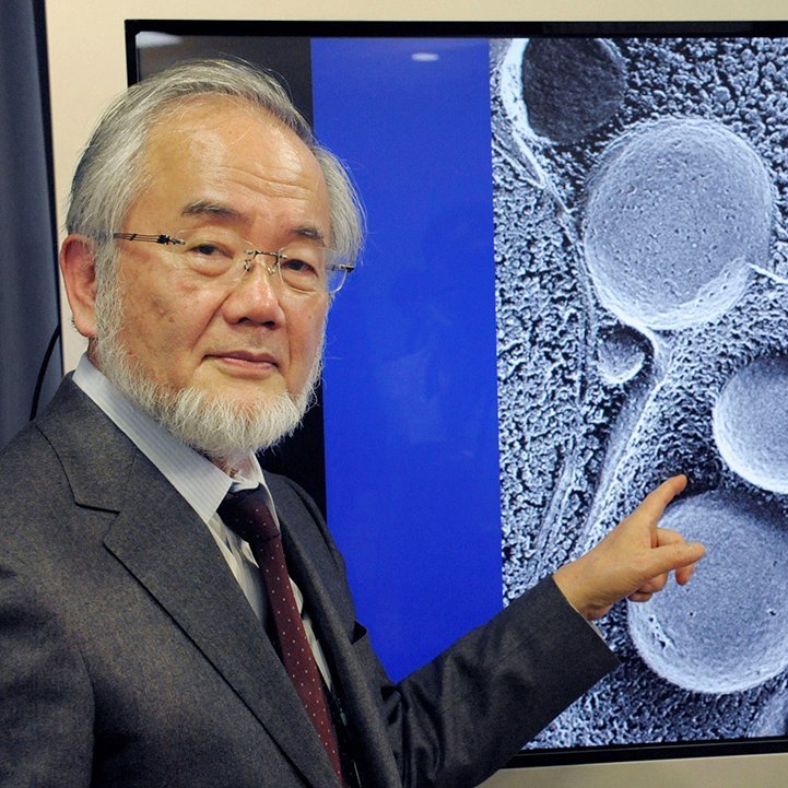 : Japanese biologist Yoshinori Ohsumi won the Nobel Prize for ...