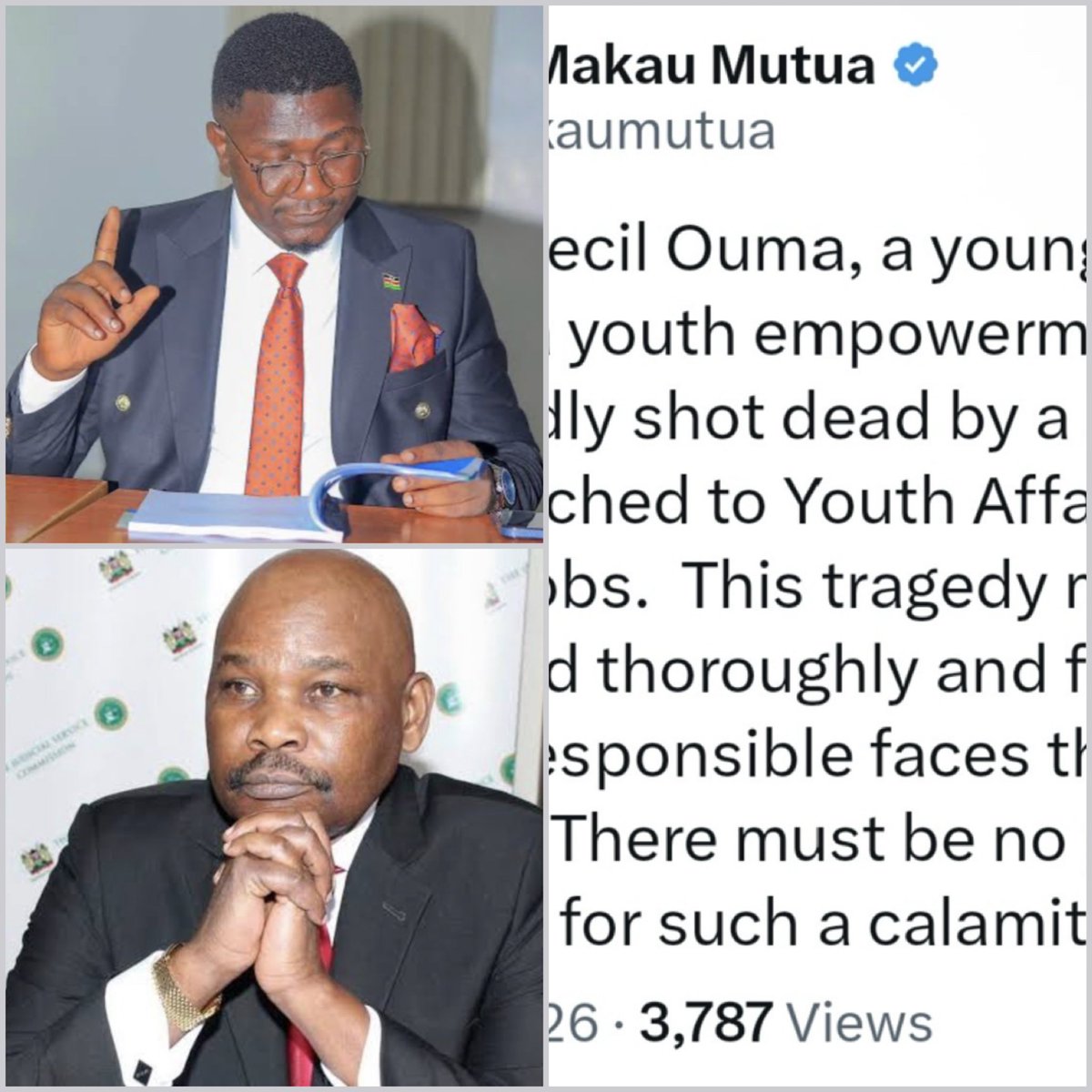 The irony is thick. Prof Makau Mutua — the man handpicked to advise the ...