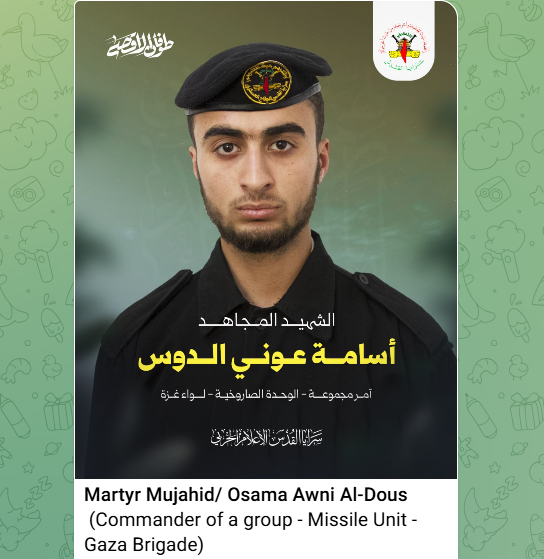 Hey @mehdirhasan you asked @EylonALevy why the Al Dos family got bombed ...