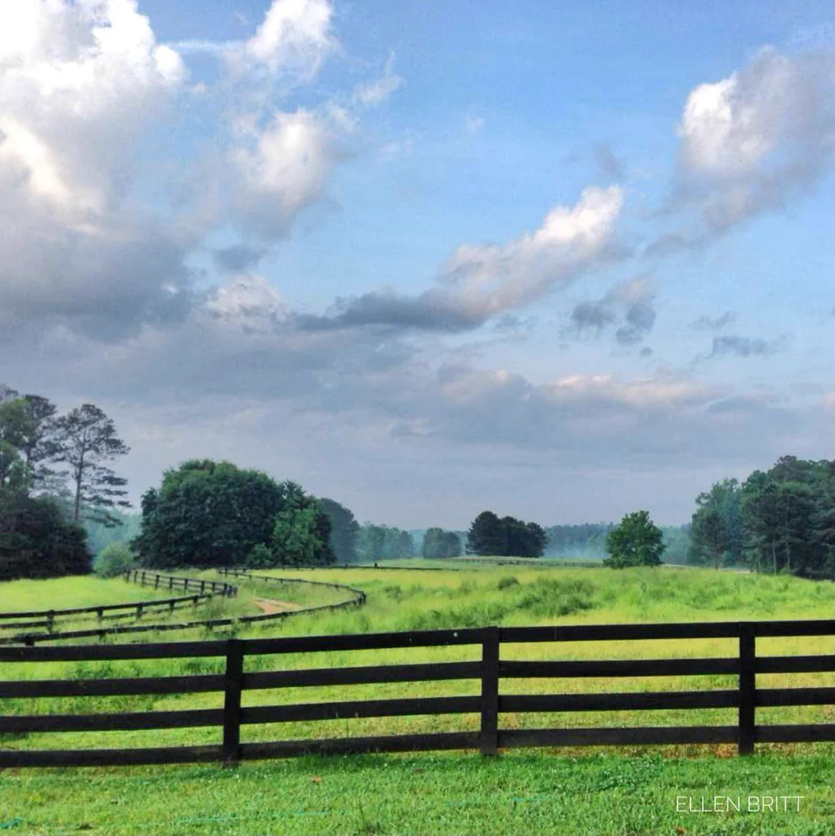 Ellen Britt PA Ed.D., PHom on X: "Good morning y’all..! 💚 “I rest in ...