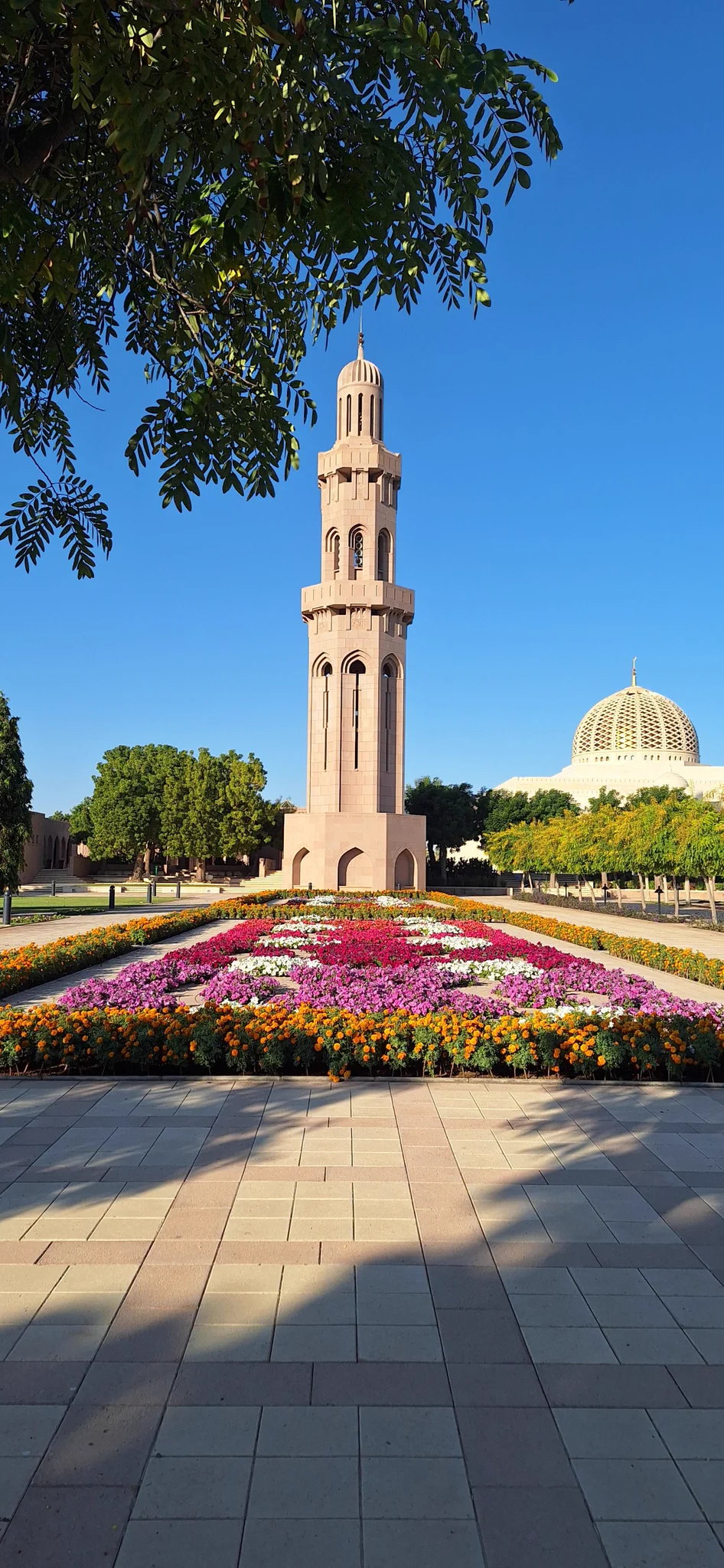 My beautiful Destination | Conscious Evolution on X: 