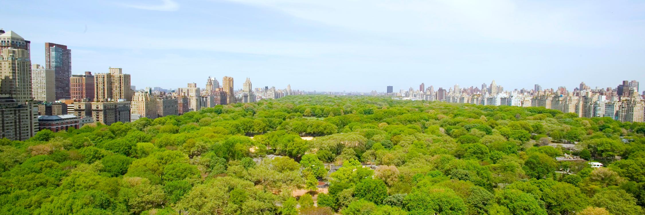NYAC Athletics (@newyorkac) / Posts / X