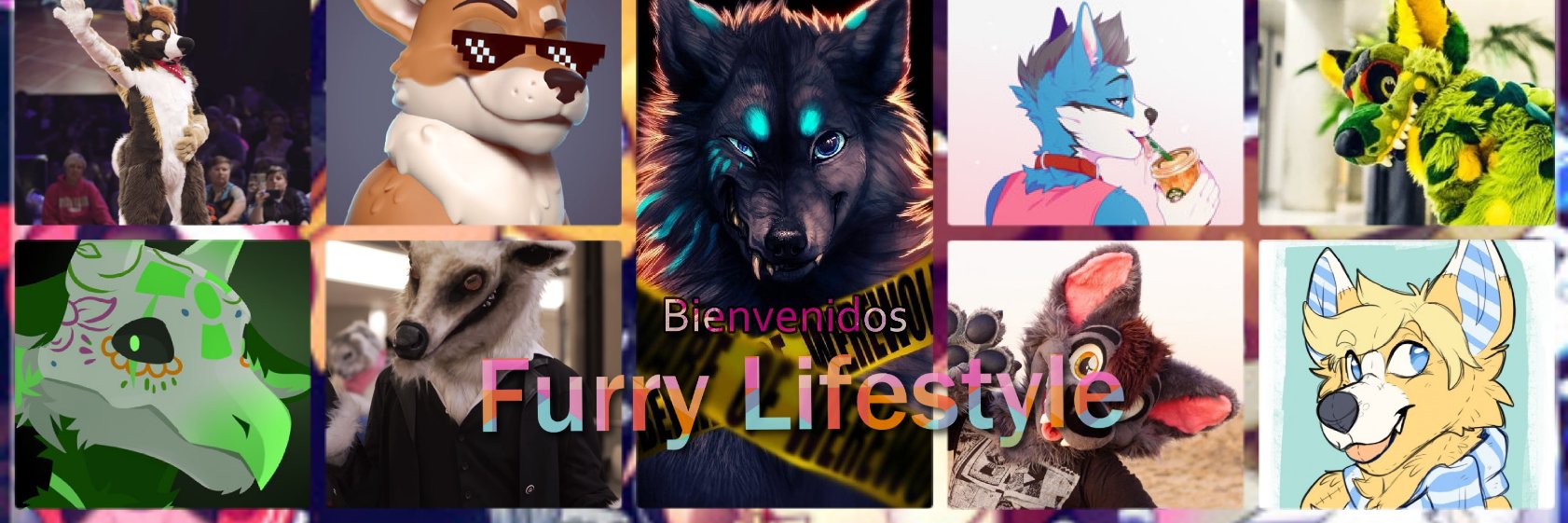 Furry Lifestyle (@Furry_Lifestyle) / Posts / X