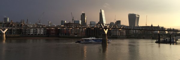 Steve Read @steve_read X Profile | Muskviewer