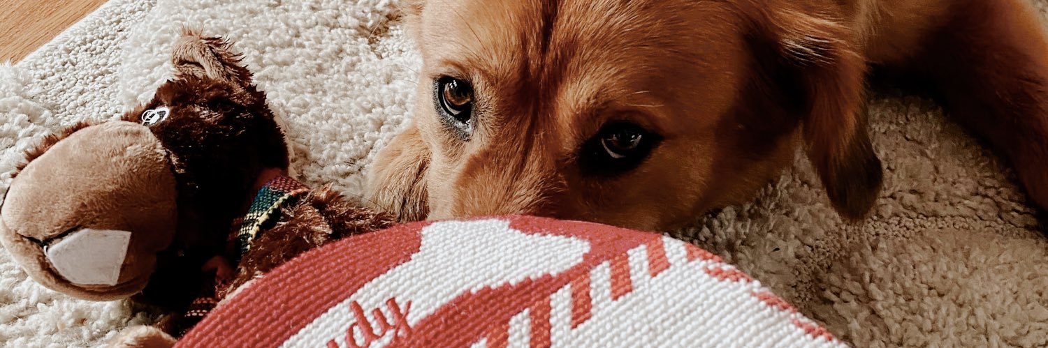 Kaitlyn Shive (@k_shive) / Posts / X