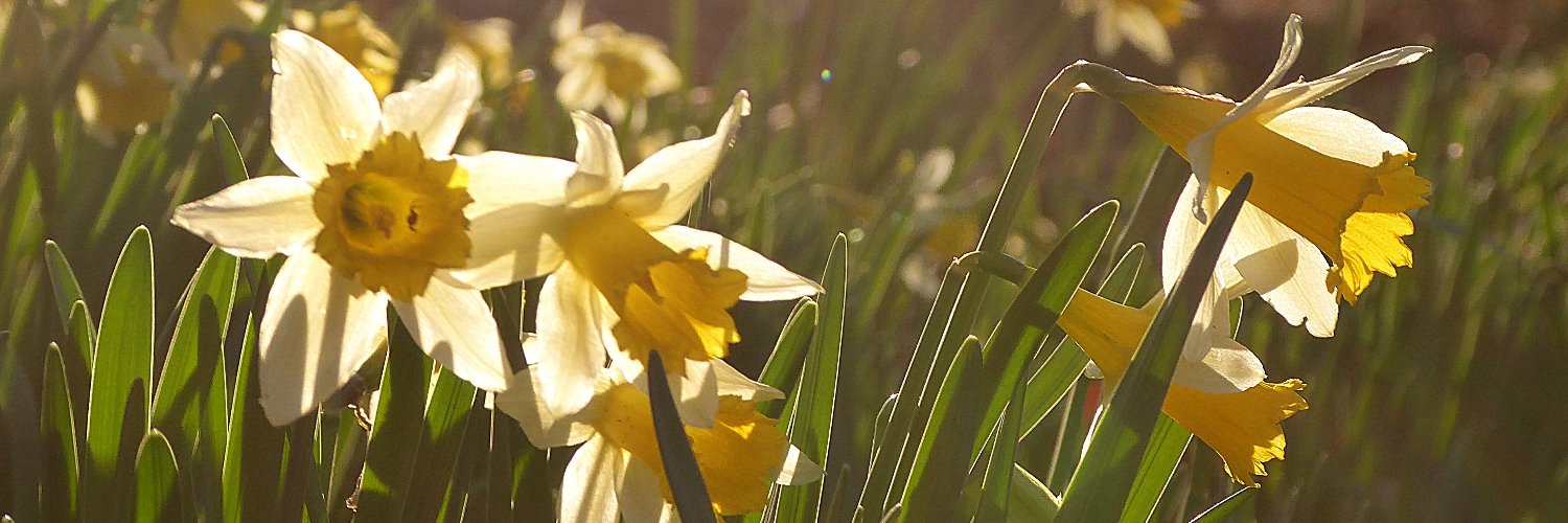 Fairhaven Woodland and Water Garden (@fairhavengarden) / Posts / X