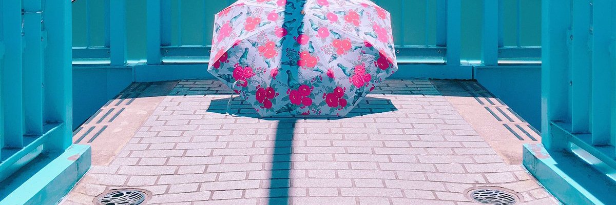 黒白オルカ (@ks_orca) / Posts / X