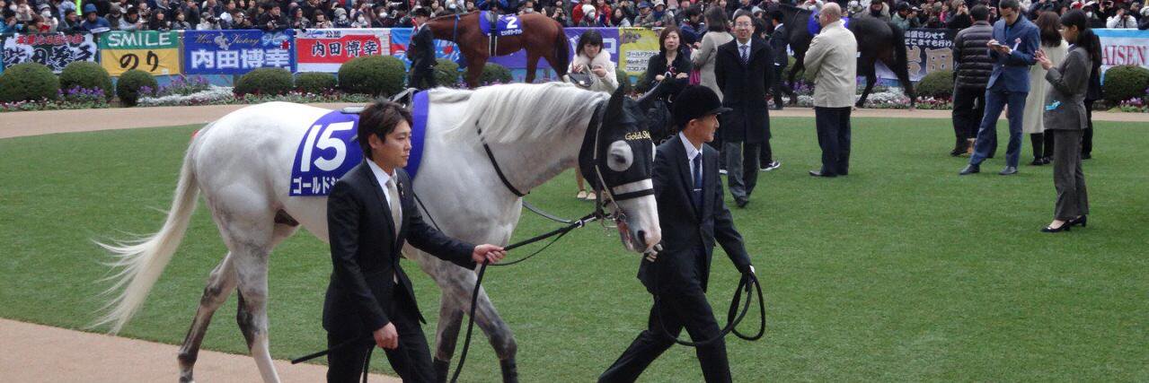 TARO🏇🐨🐮🐉 (@TARO_company) / Posts / X