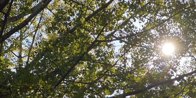 文夏(@ayaka_lwww) - Twilog