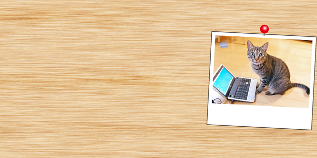 中村千晶(@potuo) - Twilog