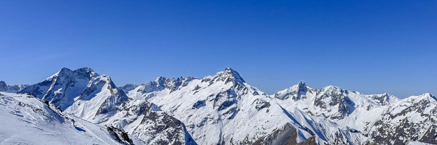 Luke Catton (@luke_catton) Realtime Twitter/X Live Follower Counter 🔥 ...