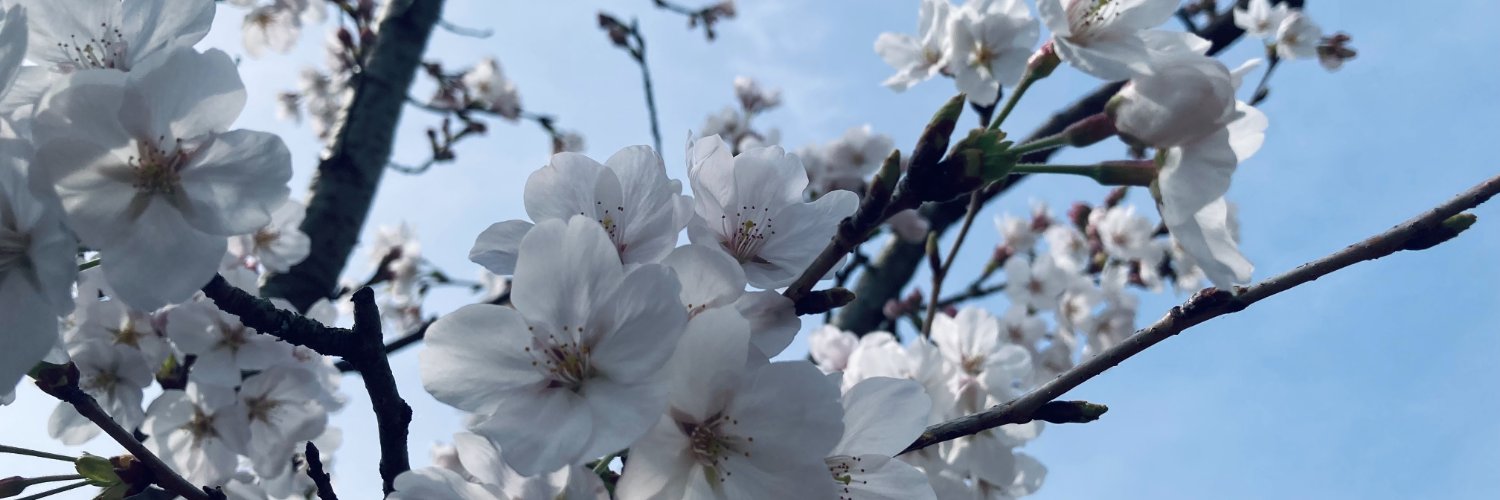 餅好 吾一 (@yamanoke) / Posts / X