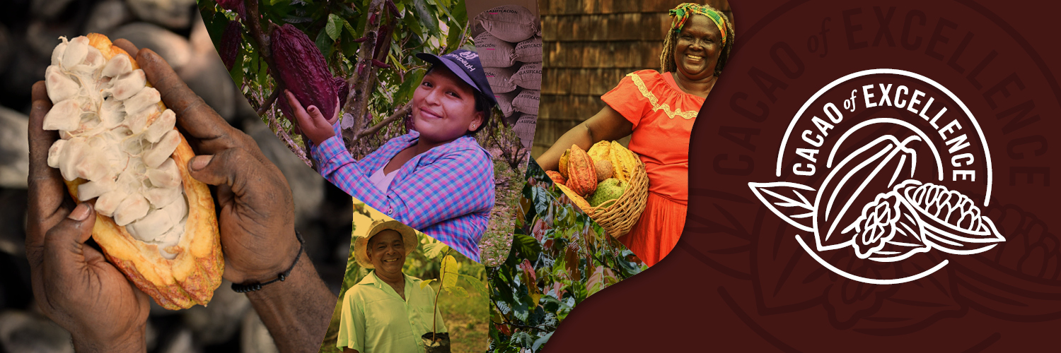 Cacao of Excellence (@CacaoExcellence) / Posts / X