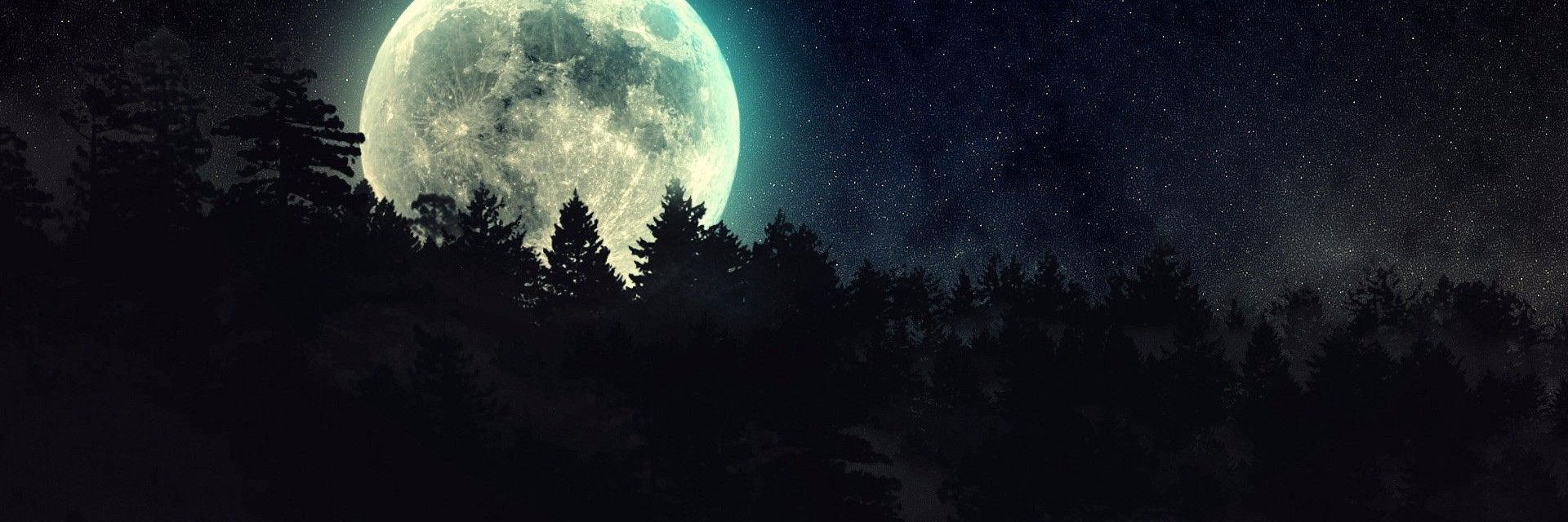 Portland Werewolf (@pdxwerewolf) / Posts / X