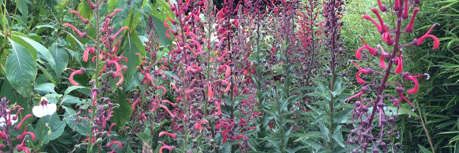 Leona Flynn (@leona_flynn) / Posts / X