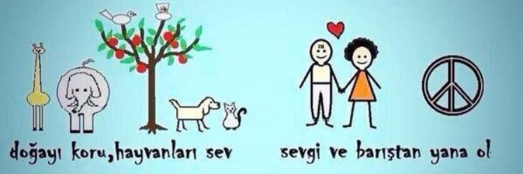 BANU ÇİÇEK (@banucck) / Posts / X