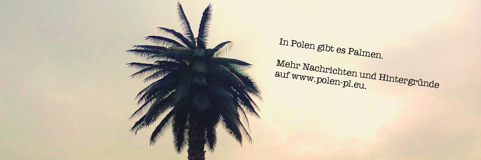 Polen.Pl (@polen_pl) / Posts / X