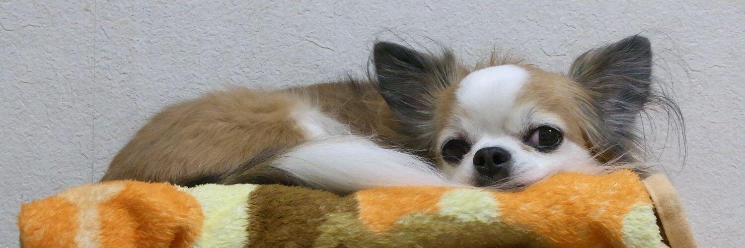 KWAT@SHSお疲れ様でした！ (@kwat_01) / Posts / X