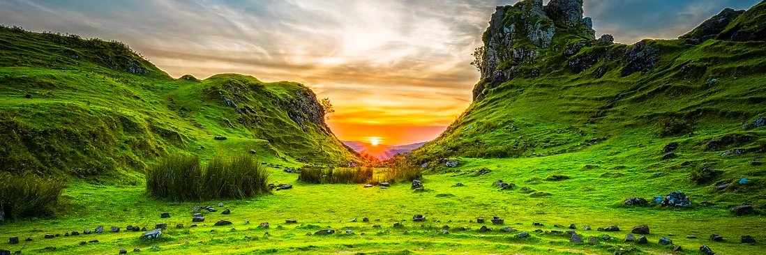 EcoRestoration Alliance (@EcoResAlliance) / Posts / X