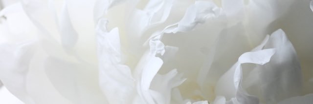 𝐽𝑢𝑛𝑜 ︎占い師🦋ヒーラー (@Juno_oracle) / Posts / X