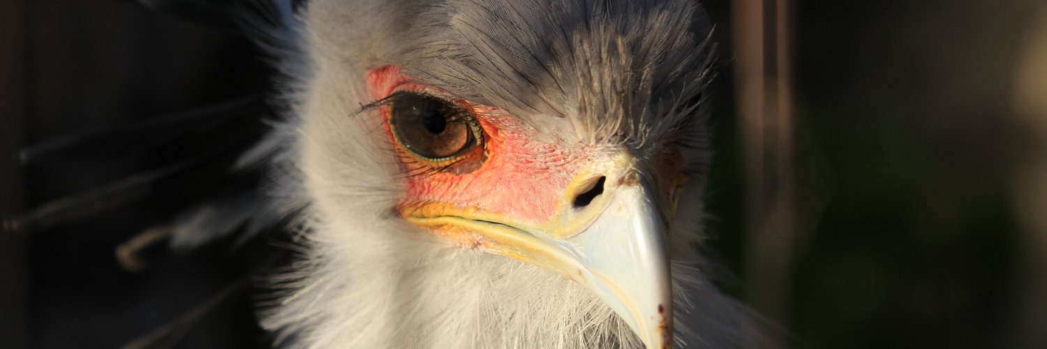 willplus (@willplus) / Twitter