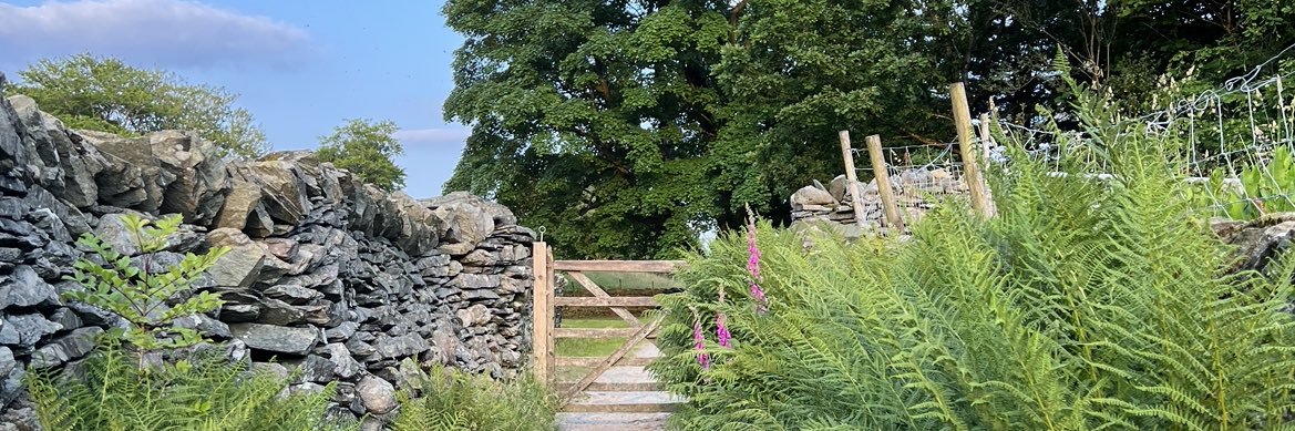 rly cool girl (@hikingshawty) / Posts / X