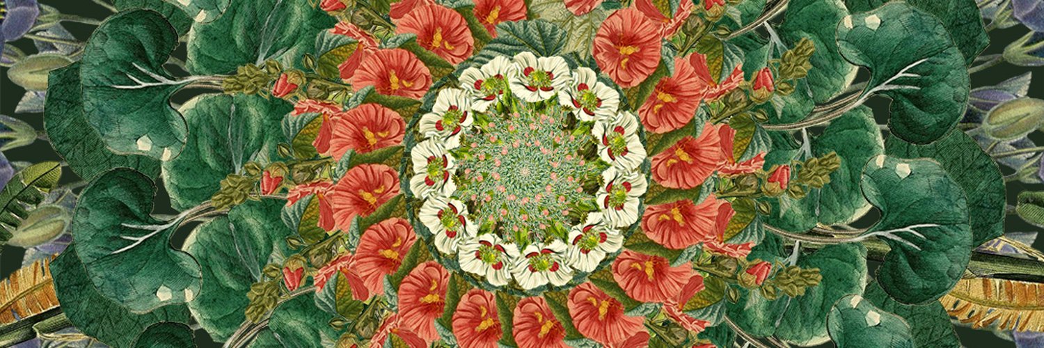 SDNA (@SDNA) / Twitter