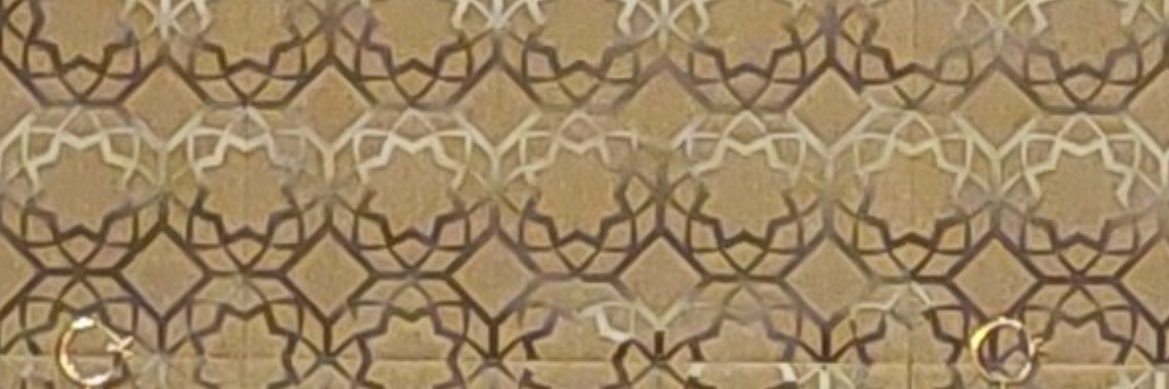 LIVECOUNTS.XYZ - Twitter Live Follower Count For Gurbet Ece !⚡