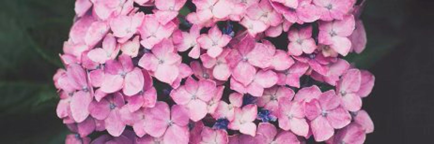 Nancy Sex Porno Horny porn xXx Desi bokep (@NancyPe28296063) / Twitter