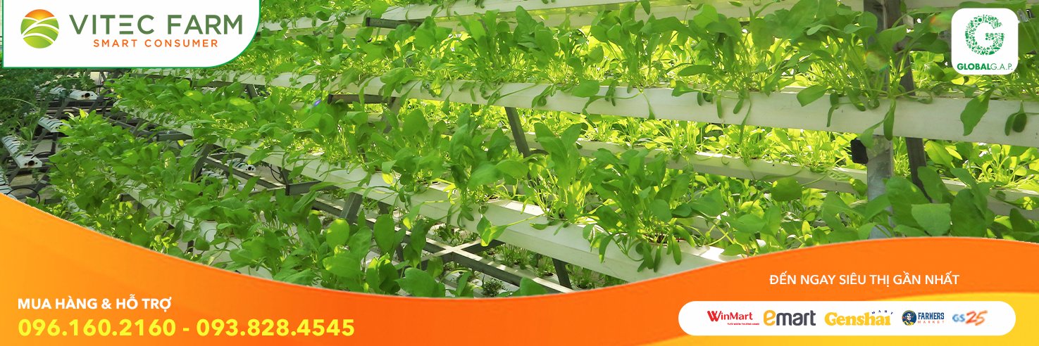 Vitec Farm (@VitecFarm) / Posts / X