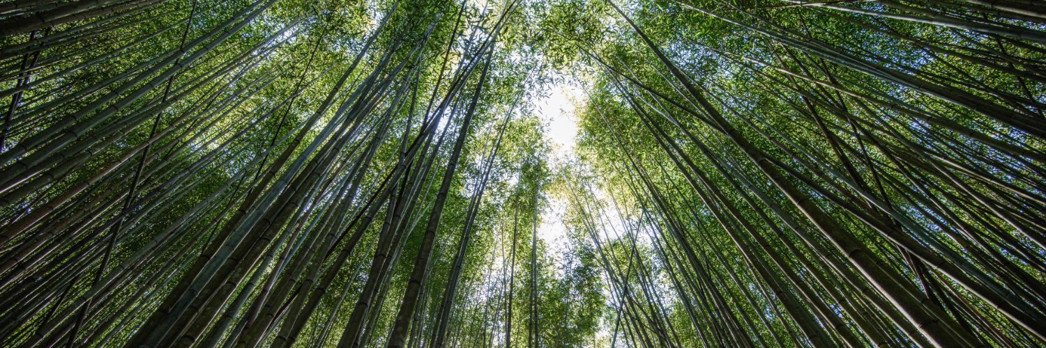 Elisha Simmons Sexy bokep Group 18+ فتاة آس (@ElishaRogers871) / Twitter