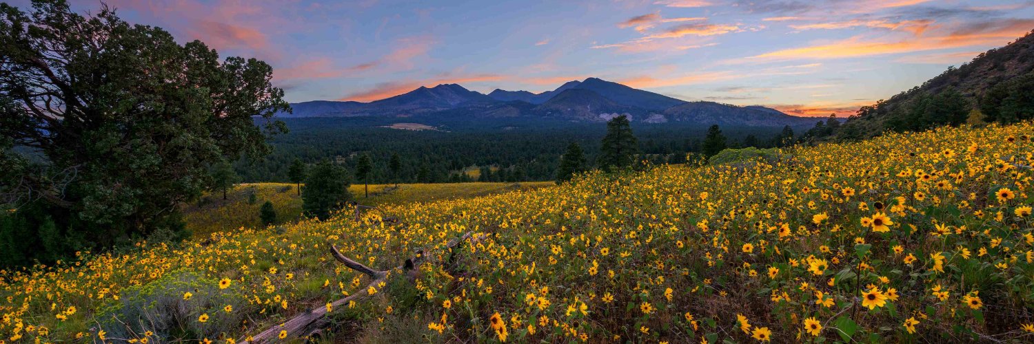 Keyla Video Sex USA 18+ Porno XXX Bokep Big Tits (@KeylaRoachr895) / Twitter