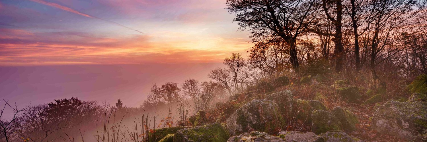 Bokep indo viral jilboob hot mesum XXXxx (@EdenTapiax336) / Twitter