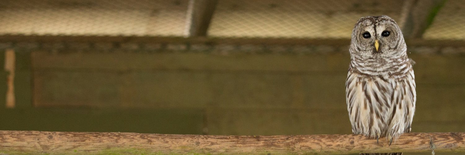 Hope For Wildlife (@hopeforwildlife) / Posts / X