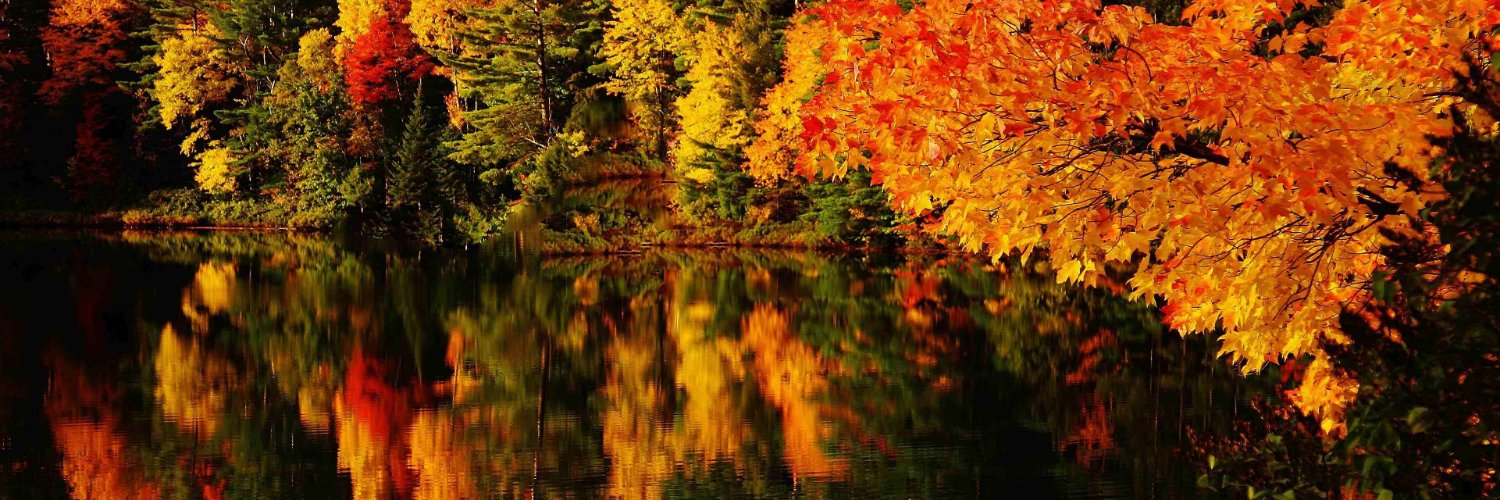 bokep Chester ABG Kerudung Hitam Pamer (@CadePacex991) / Twitter