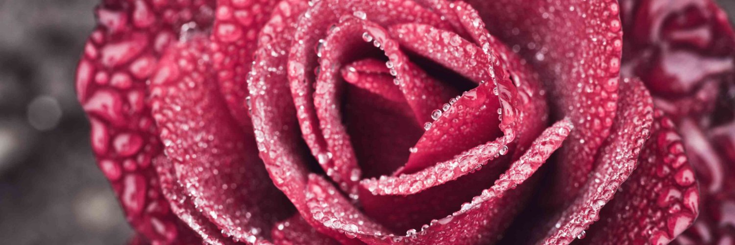 Esther bokep 18+ أمين سحاقي (@EstherVazquz761) / Twitter