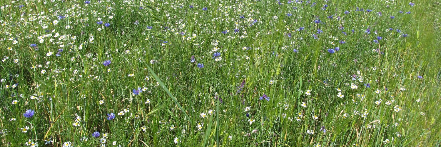 bokep 18+ امرأة جميلة عربية (@AutumnHopkii27) / Posts / X