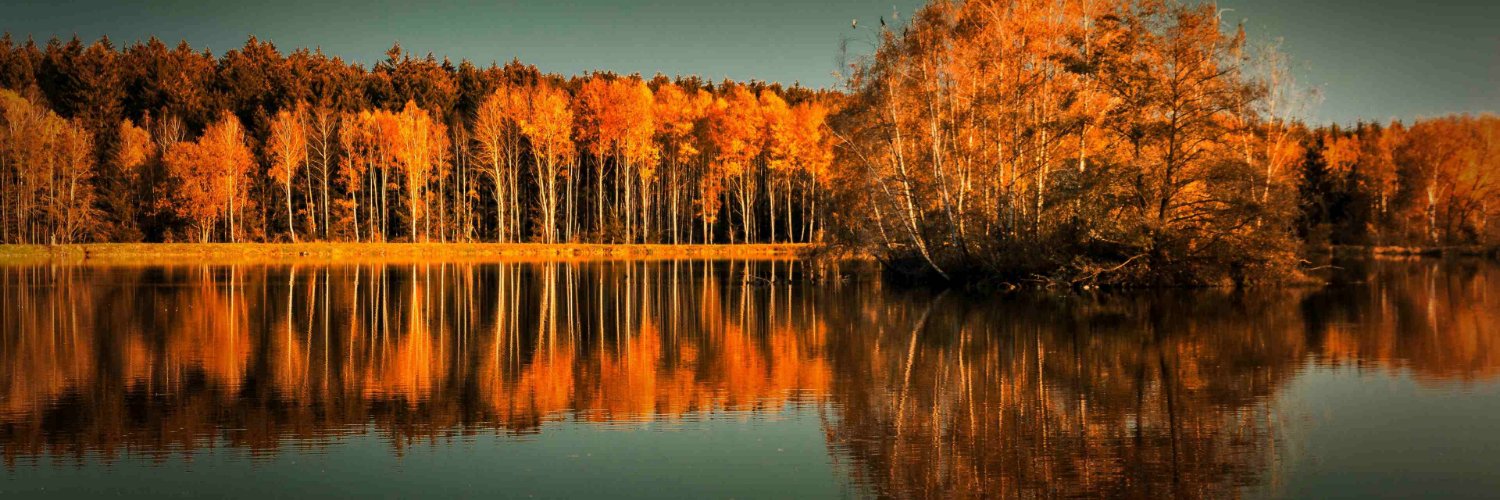 Gary bokep 20+ نونا المشتهية (@BrentCoxn284) / Twitter